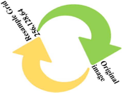image size and performance under different resampling grids model download scientific diagram