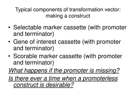 Ppt Lecture 10 Chapter 7 Recombinant Dna Vector Design And