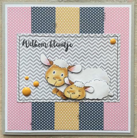 Lindacrea Schaapjes 8