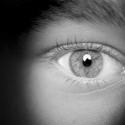 Floaters And Flashes Laservision