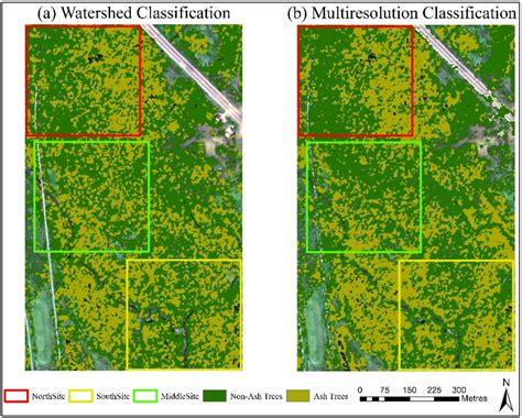 Remote Sensing Special Issue Remote Sensing Of Forest Health