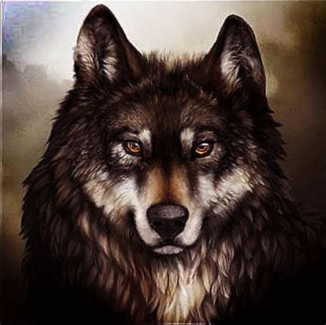 Одинокий волк прикольные картинки 45 фото