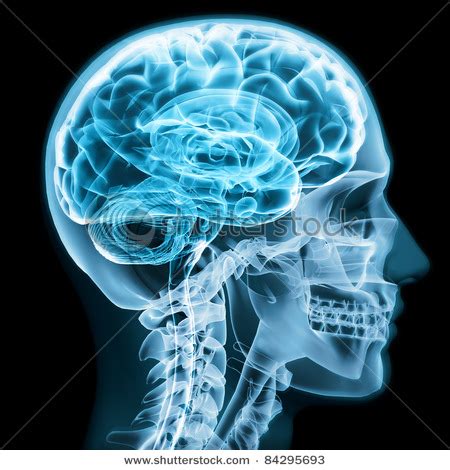 Javascript Three Js Webgl X RAY Effect Stack Overflow