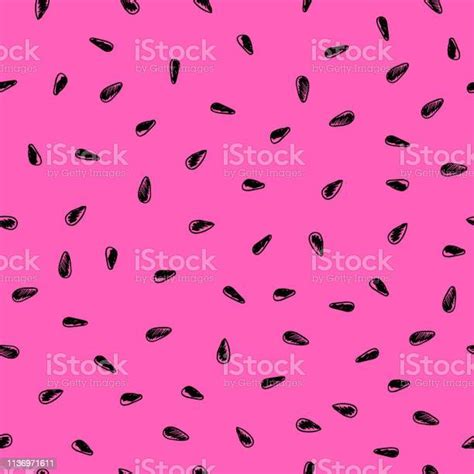 손으로 그려진 된 박의 씨앗 벡터 일러스트와 함께 완벽 한 패턴입니다 여름 밝은 고립 된 분홍색 배경에 씨앗 파티 패브릭 질감입니다 0명에 대한 스톡 벡터 아트 및 기타