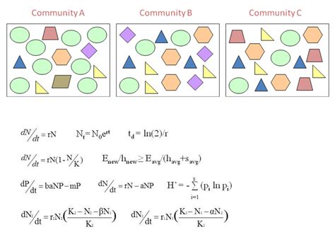 Biodiversity Index Formula