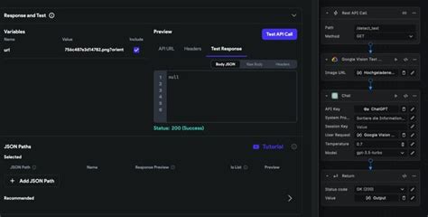 Flutterflow Body Json Null Rflutterflow