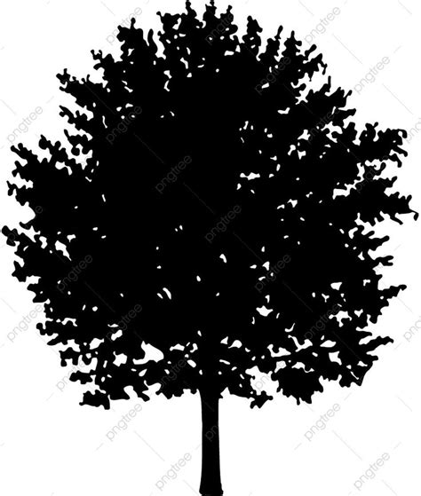 단풍나무 흑백 나무 그래픽 그림 요소 Png 일러스트 및 벡터 에 대한 무료 다운로드 Pngtree