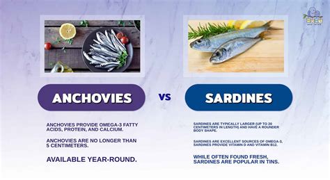 Anchovies Vs Sardines 5 Key Differences And Which Is Healthier