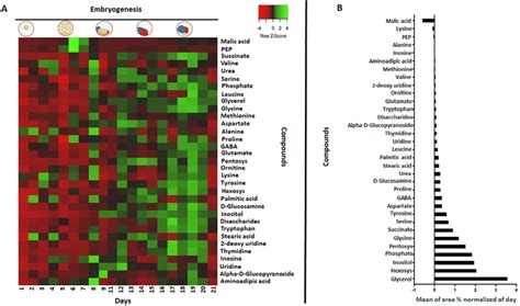 Heatmap Of Metabolites Detected By Cg Ms Reveals A Very Defined Pool