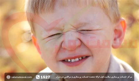 ساس چیست 5 روش از بین بردن ساس در خانه