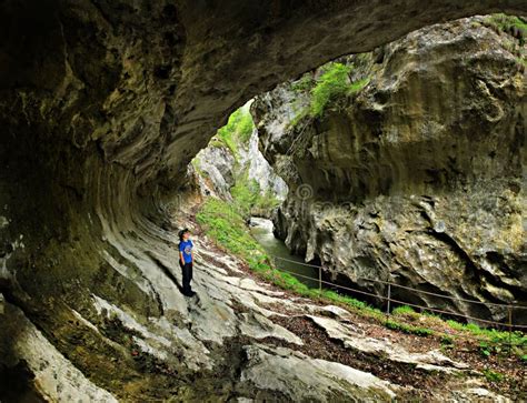 Corcoaia Gorges Domogled Cerna Valley National Park Romania Stock