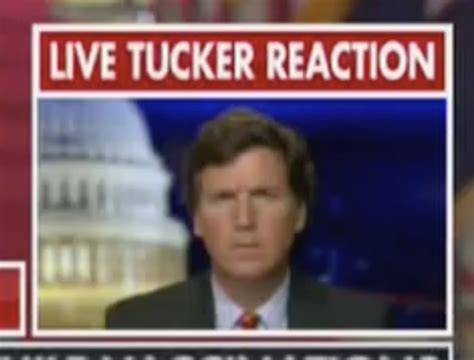 Live Tucker Reaction Template
