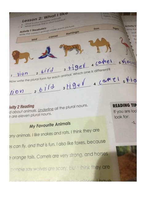 SOLUTION Sixth Grade Babe Book Solution Studypool