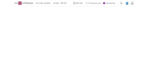 Store Codesandbox
