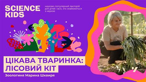 Цікава тваринка лісовий кіт Біологиня Марина Шквиря Youtube