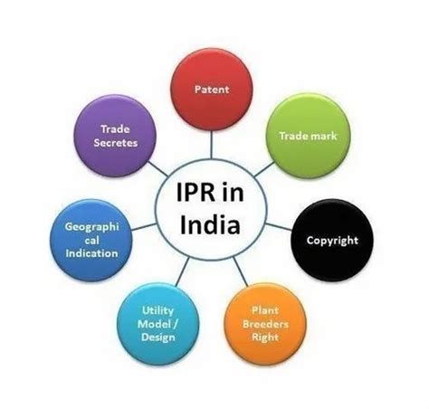 IPR Management Service IP Asset Management Service In India