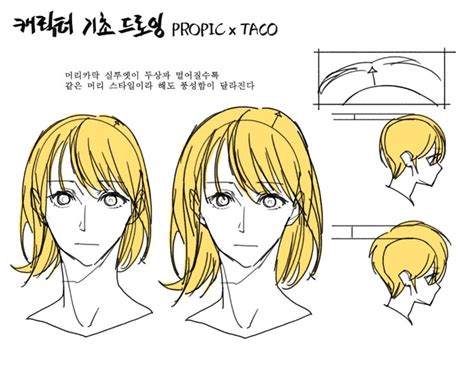 타코작가 On Twitter 드로잉 강좌 그리기 튜토리얼 드로잉