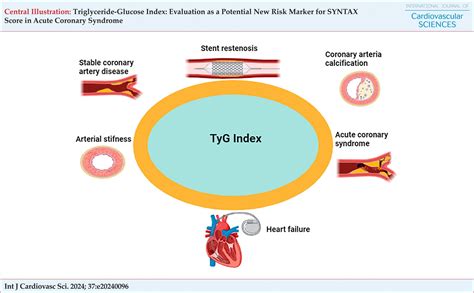 Triglyceride Glucose Index Evaluation As A Potential New Risk Marker For Syntax Score In Acute