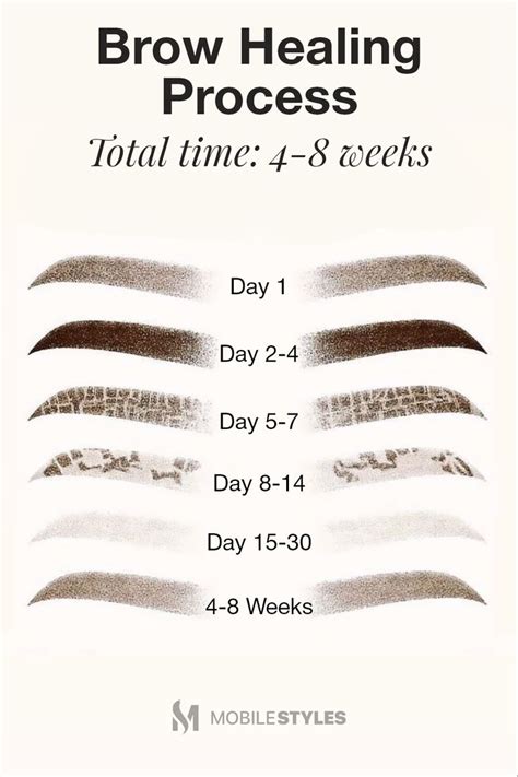 The Recovery Process For Powder Brows Is Comparable To That Of Microblading In 2025