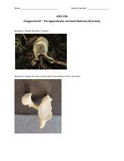 Assignment Axial And Appendicular Skeleton Pdf Name Student Number ARCL Assignment