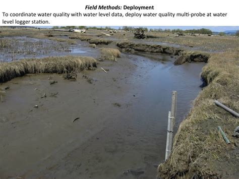 Hydrology Continuous Water Quality Tidal Marsh Monitoring