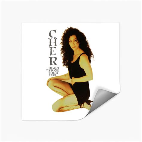 Vintage 1990 Cher Heart Of Stone Concert Tour Stickers