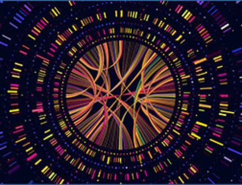 Scode An Efficient Regulatory Network Inference Algorithm From Single