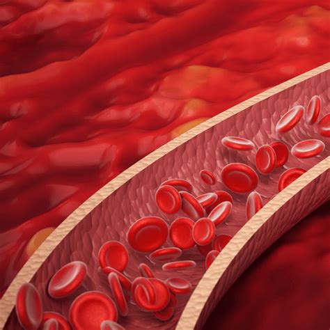 Artikel Mengenal Proses Regenerasi Tubuh Dan Tantangan Dalam Menangani Penyakit Kronis Pomodo