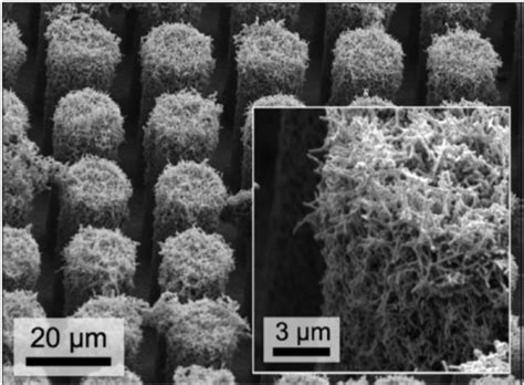 Microstructured Nanostructured And Hierarchically Structured Silicon Download Scientific