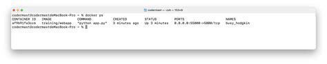 Docker Web应用实例