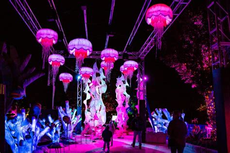 Electric Kingdom A Free Outdoor Experience Secret Melbourne