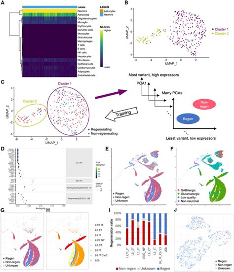 单细胞rna测序 Scrna Seq 知乎