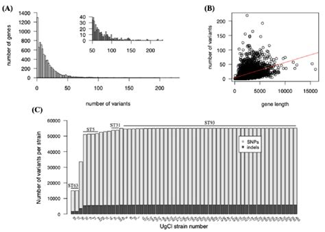 Variants Identified Among All Strains A The Number Of Variants Per Download Scientific