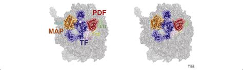 The Concerted Model Recapitulating The Interactions Between Several Download Scientific Diagram