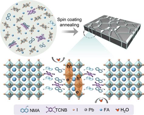 Electron Acceptor Molecule Doping Induced ππ Interaction To Promote Charge Transport Kinetics
