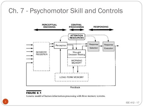 Ppt Psychomotor Skills Powerpoint Presentation Free Download Id 5764127