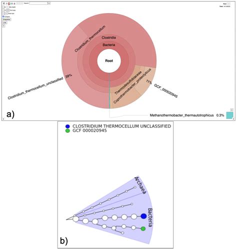 Visualization Of Taxonomy Output A The Krona Output Provides Download Scientific Diagram