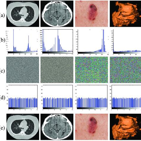 visual analyses row a biomedical images b histograms of download scientific diagram
