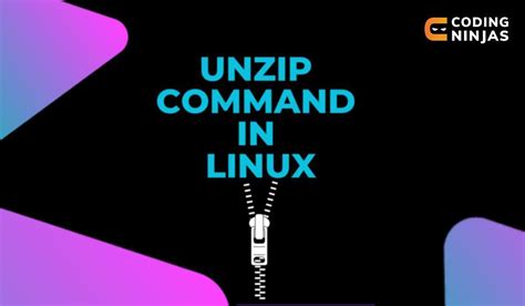 Unzip Command In Linux Naukri Code