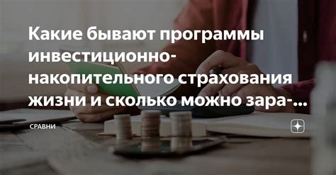 Какие бывают программы инвестиционно накопительного страхования жизни и сколько можно заработать