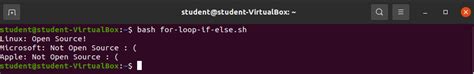 Loops Linux Introduction
