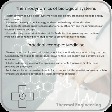 Thermodynamics Of Biological Systems