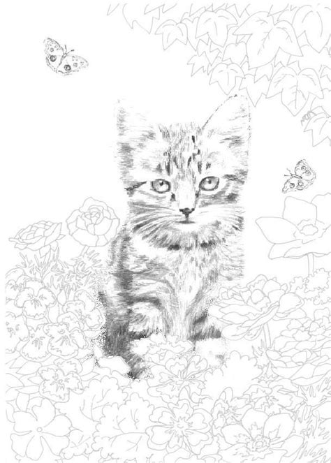 Hanagakusima 609×852 Coloration