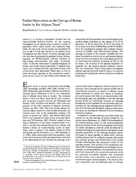 Pdf Cleavage Of Bovine Insulin By Rat Adipose Tissue Dokumen Tips