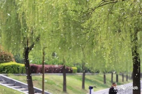 年少的诗 知乎