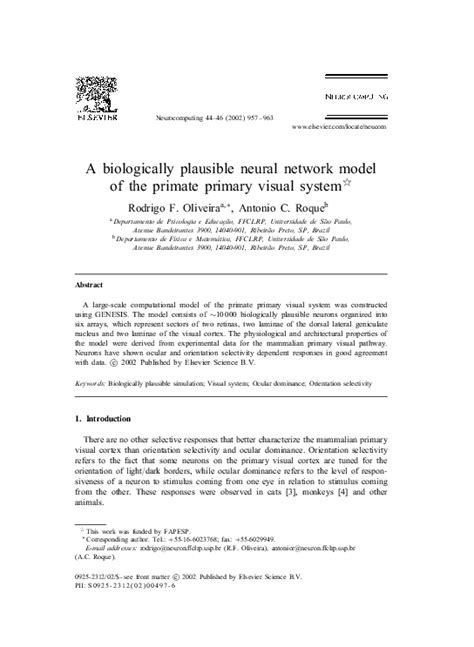 pdf a biologically plausible neural network model of the primate