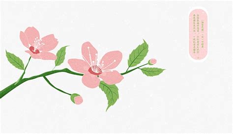 花插画艺术插画li 原创作品 花瓣网