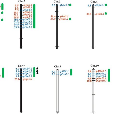 Genetic Linkage Map Of The Qtls Dissected In Population I Download Scientific Diagram