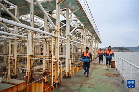 福建连江：探索鲍鱼深远海养殖模式中国发展门户网－国家发展门户