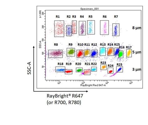 Custom Cytometric Bead Array Rayplex® Raybiotech